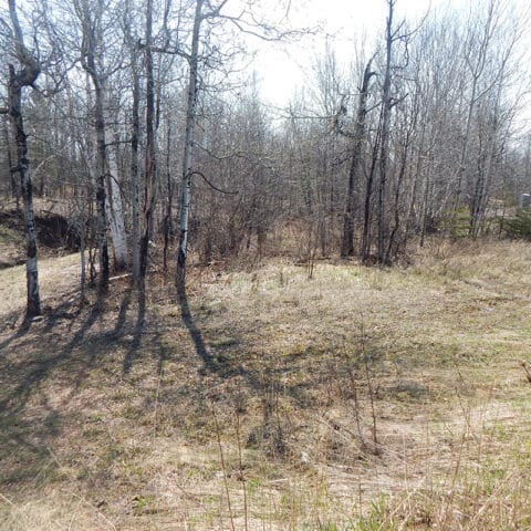 TimberWolff Listings - TimberWolff Realty LLC