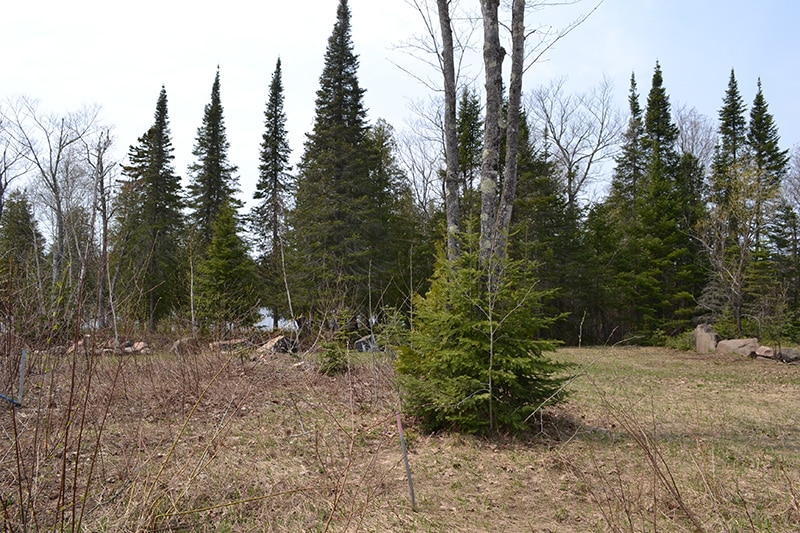 Home - TimberWolff Realty LLC