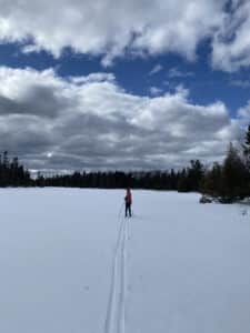 Home - TimberWolff Realty LLC