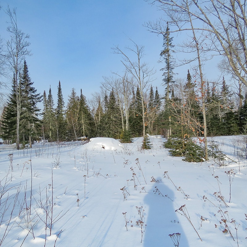 Home - TimberWolff Realty LLC