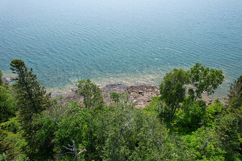 Home - TimberWolff Realty LLC