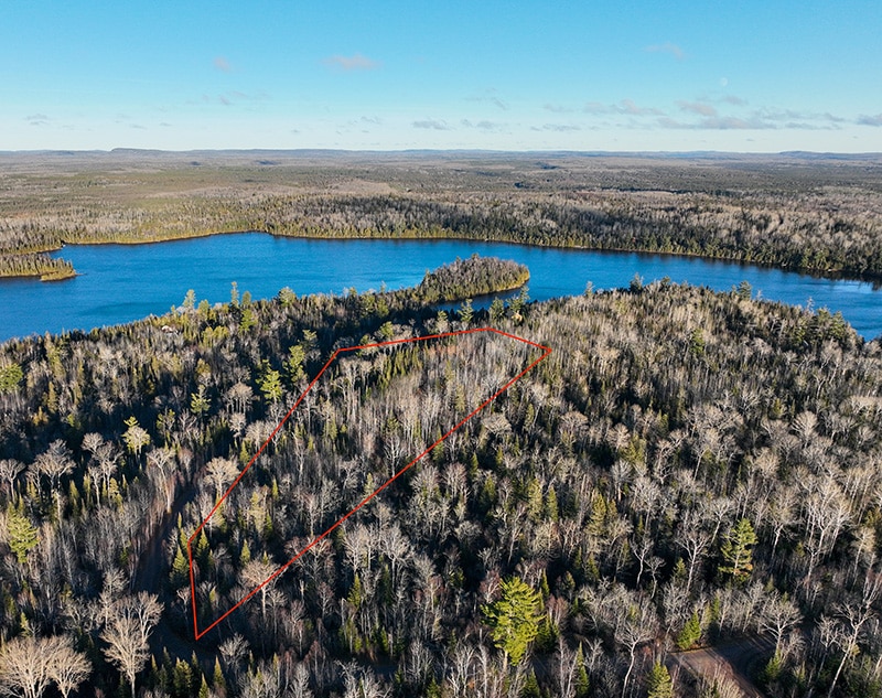 Home - TimberWolff Realty LLC