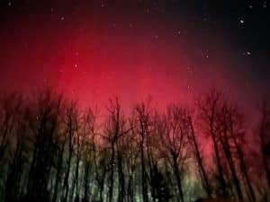 Home - TimberWolff Realty LLC