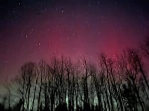 Home - TimberWolff Realty LLC