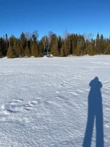 Home - TimberWolff Realty LLC