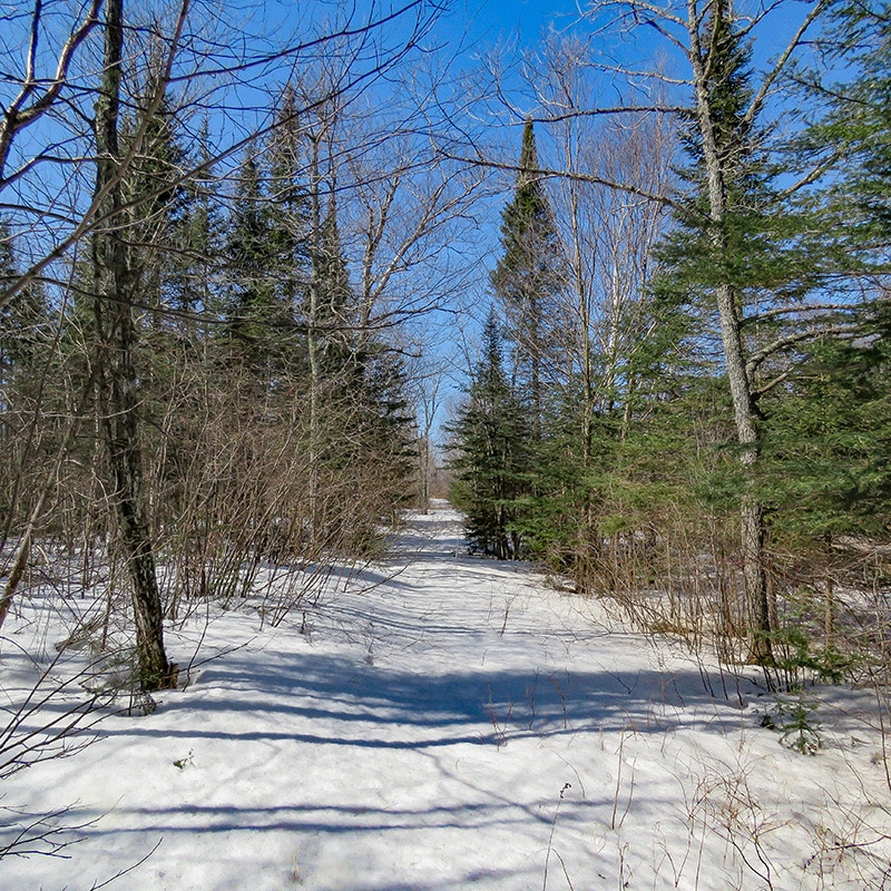 11+ acres just 8 Miles from the Cross River in Schroeder! - TimberWolff ...