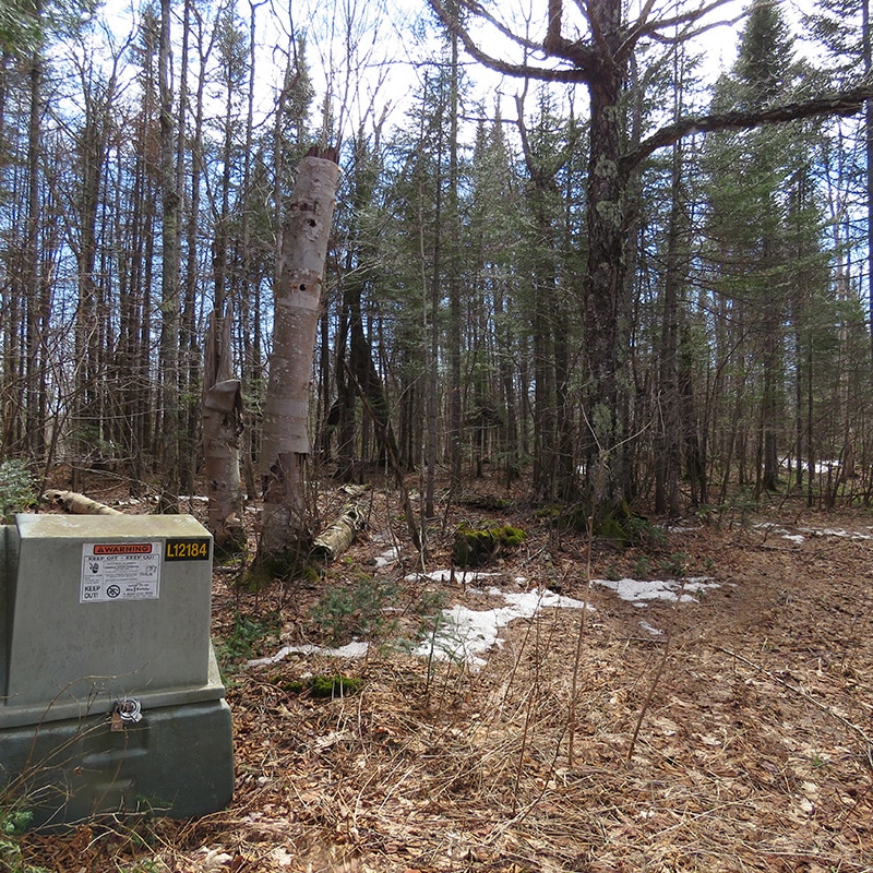 NEW! 11+ acres just 8 Miles from the Cross River in Schroeder ...