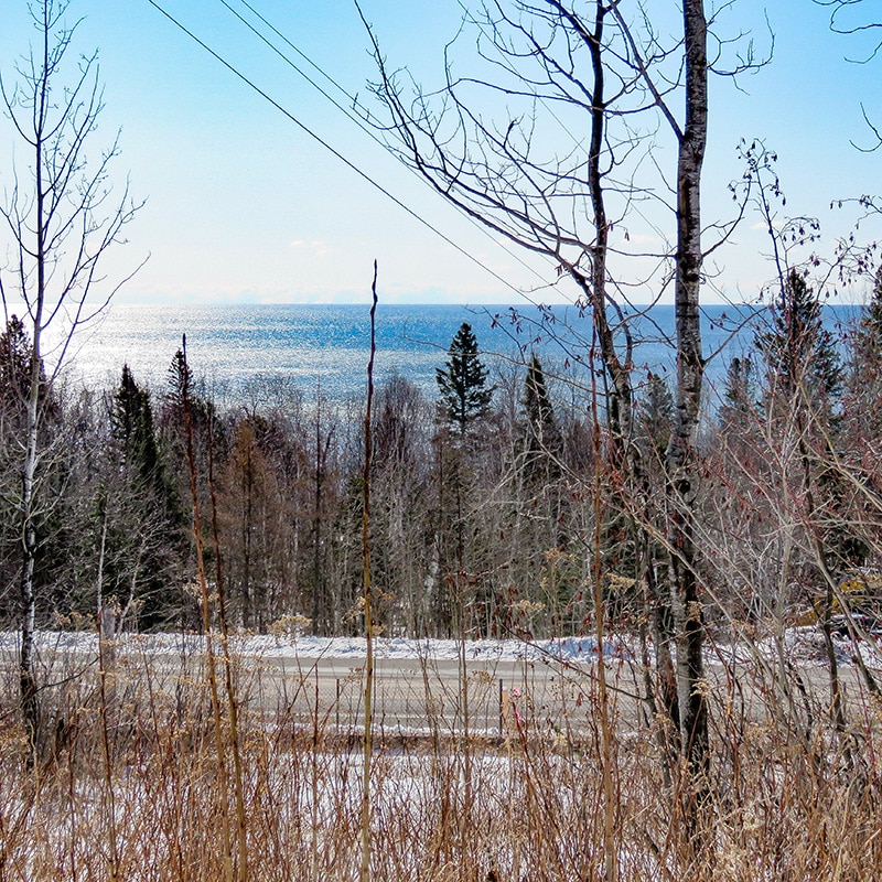 Home - TimberWolff Realty LLC