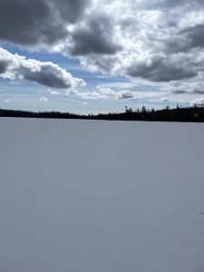 Home - TimberWolff Realty LLC