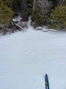 Home - TimberWolff Realty LLC